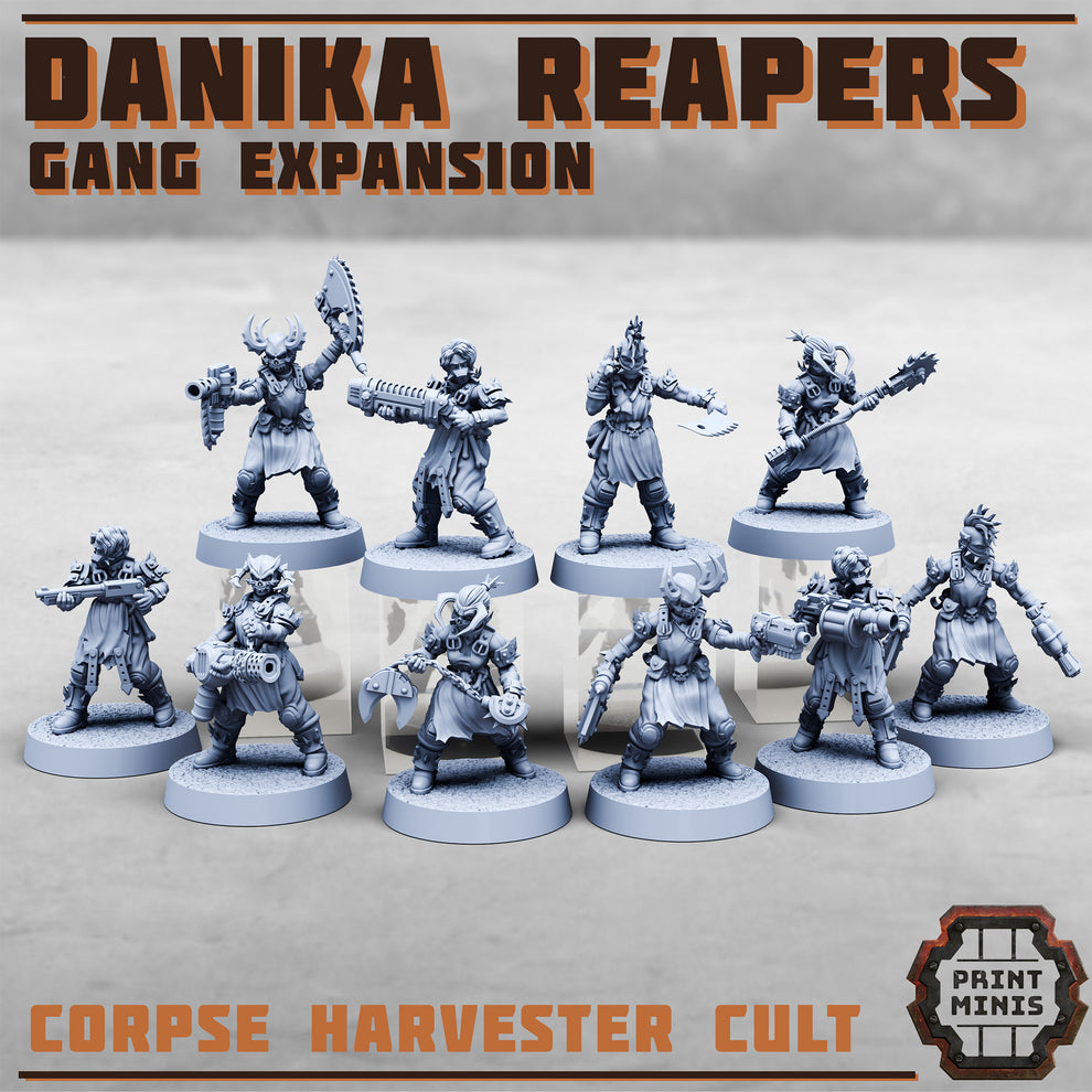 Danika Reapers - Gang Expansion – Vixens Miniatures